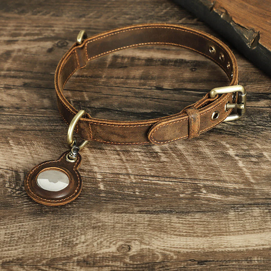 Leather Dog Leash & Collar – Rebels Market